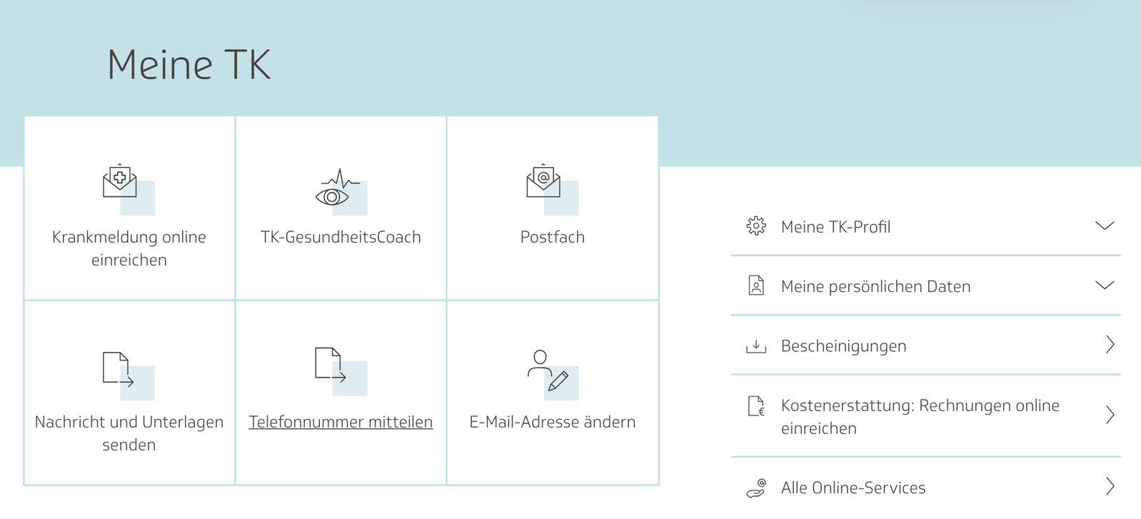 TK Health Insurance Review: what to expect